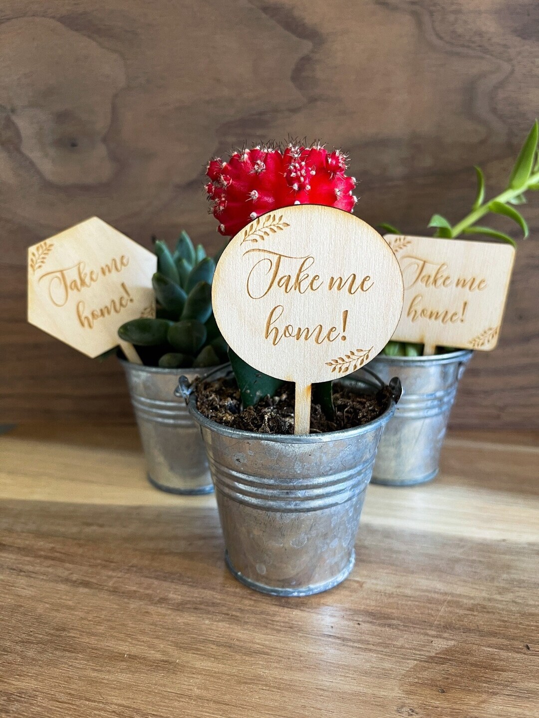 Take Me Home Succulent Tags | Baby Shower Favors | Succulent Tags ...