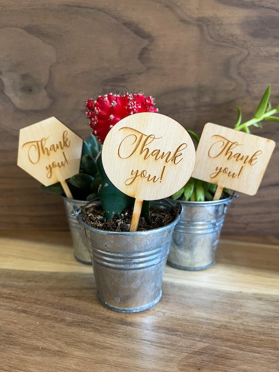 Thank You Succulent Tags Thank You Giftthank You Succulent - Etsy