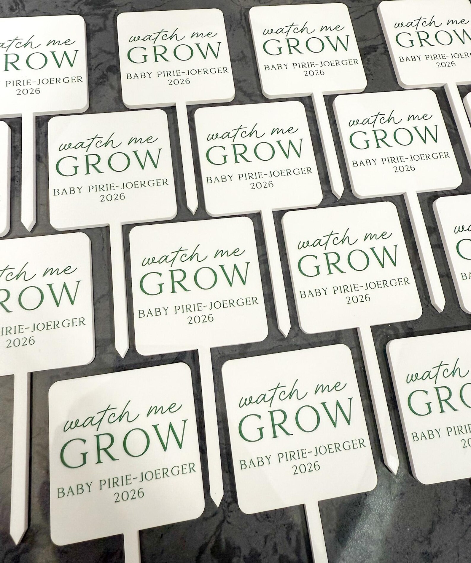 Watch Me Grow Succulent Tags, Acrylic Watch Me Grow Tags, Baby Shower ...