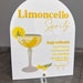 Limoncello Spritz Acrylic Sign | Limoncellospritz Sign | Limoncello ...