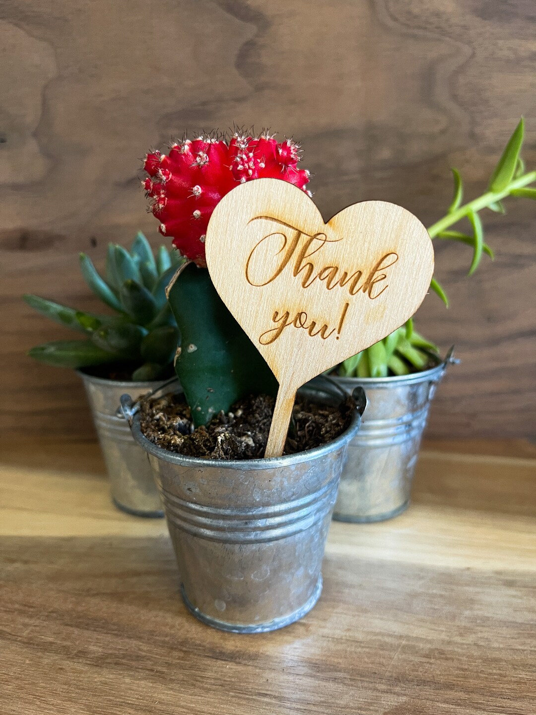 Thank You Succulent Tags | Thank You Gift|thank You Succulent Stake ...