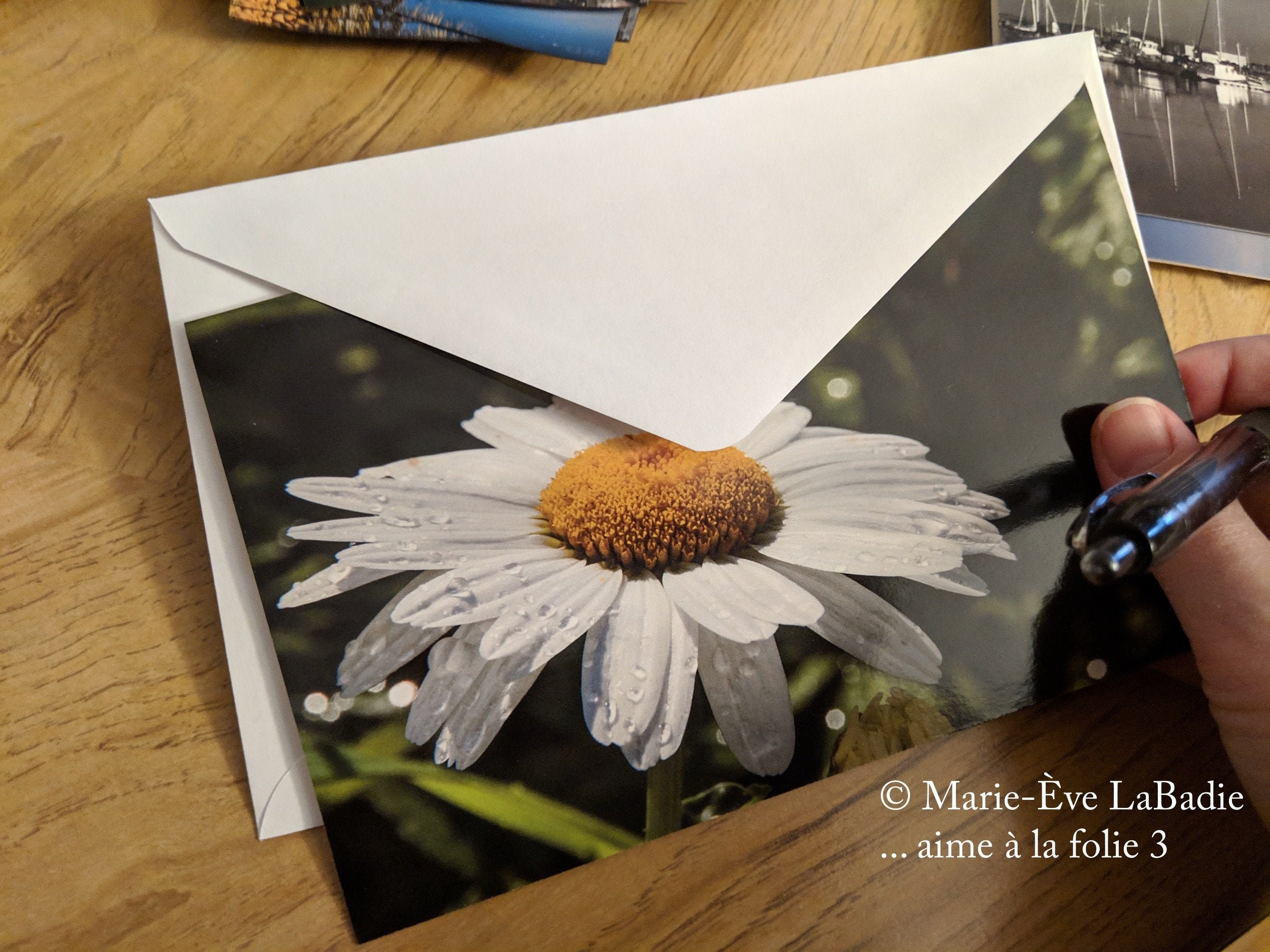 Greeting Cards Without Text With Photograph White Envelope 4.5 X 7 ...