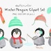 Winter Penguin Clipart, Clipart, Watercolor Penguin Clipart, Penguin ...