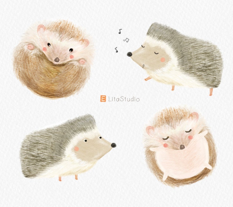 Digital Clip Art, Watercolor Little Cute Hedgehogs Clipart,hedgehogs ...