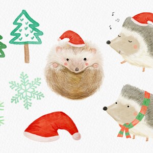 Digital Clip Art, Watercolor Cute Hedgehogs in X'mas Time Clipart - Etsy