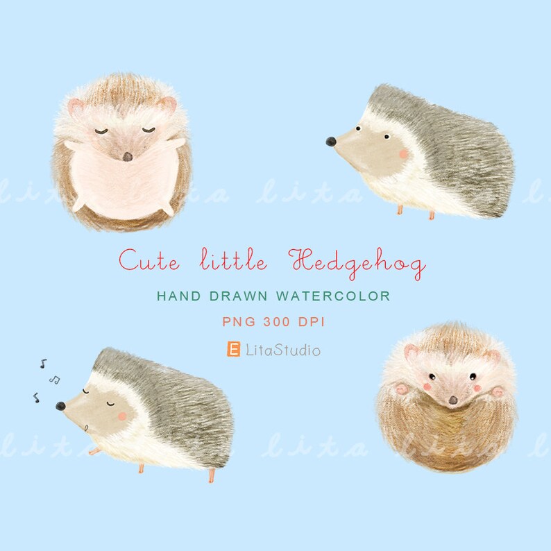 Digital Clip Art Watercolor Little Cute Hedgehogs | Etsy