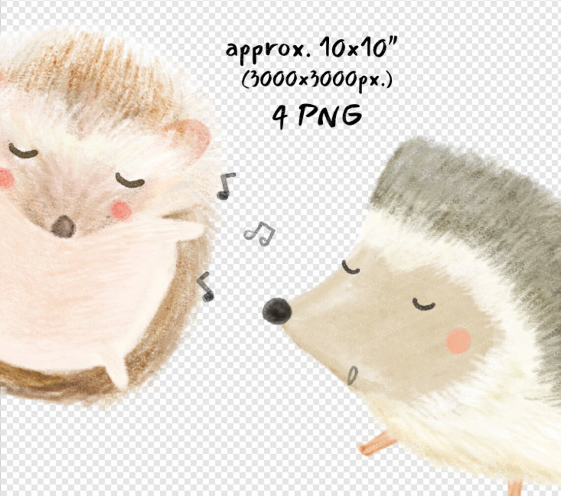 Digital Clip Art Watercolor Little Cute Hedgehogs - Etsy
