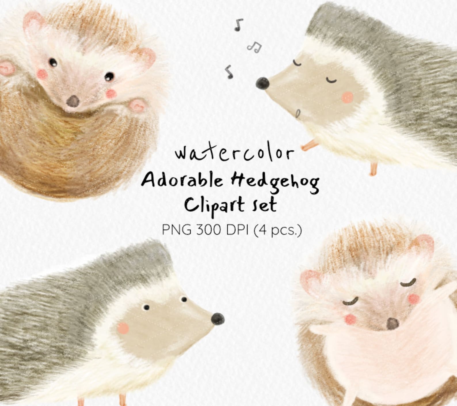 Digital Clip Art, Watercolor Little Cute Hedgehogs Clipart,hedgehogs ...
