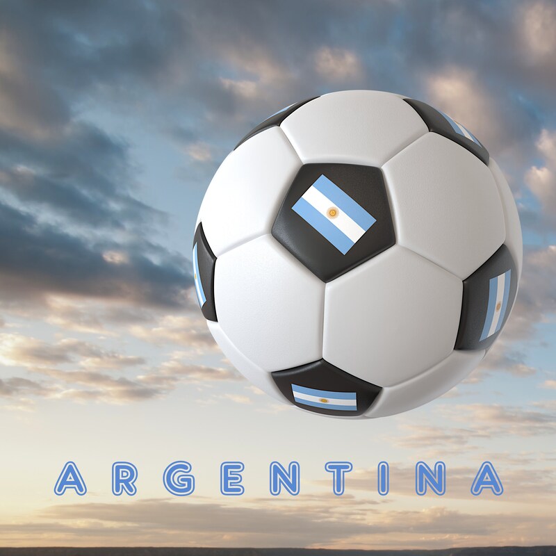 Blue Lock Soccer Ball - Etsy