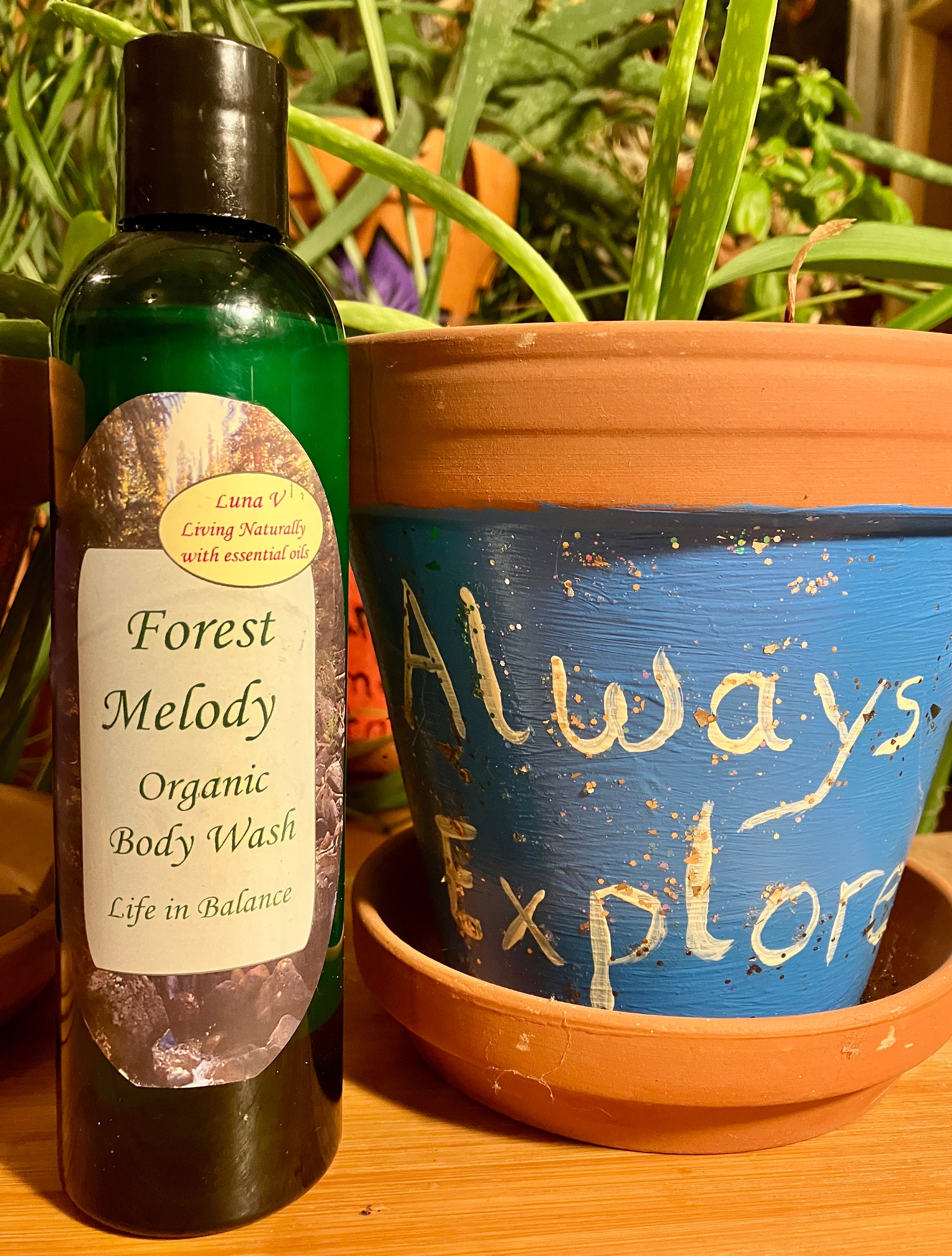 Organic Body Wash With Essential Oils - Etsy