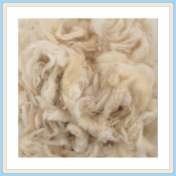 Wool Stuffing - Etsy