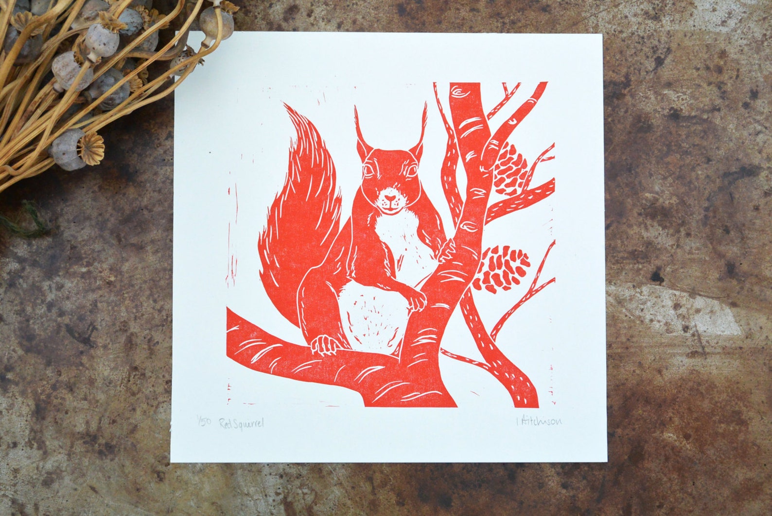 Lino Print Red Squirrel Art Print Handprinted Linocut Wall - Etsy UK