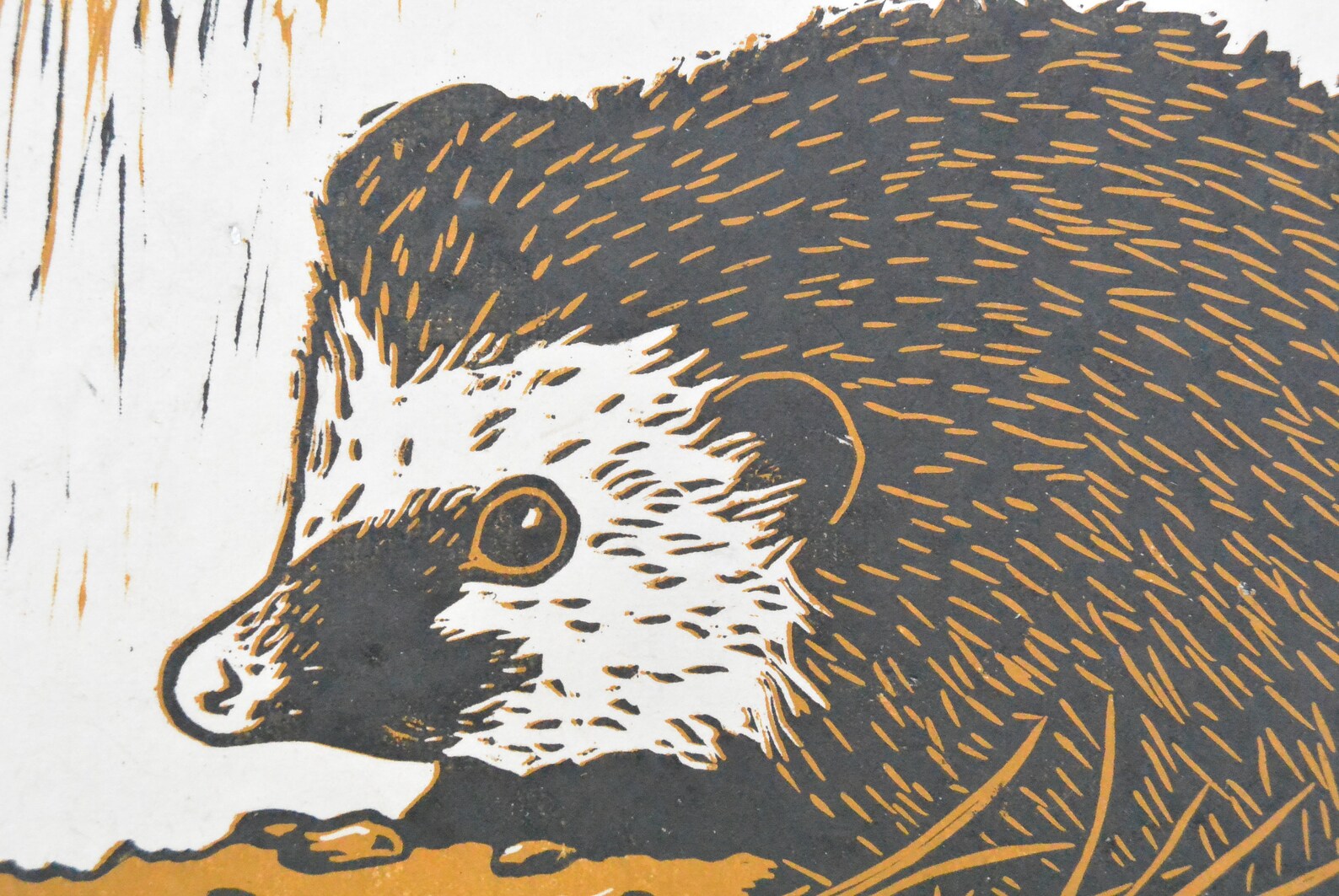 Linocut Hedgehog Print Lino Animal Illustration A4 Handmade - Etsy UK