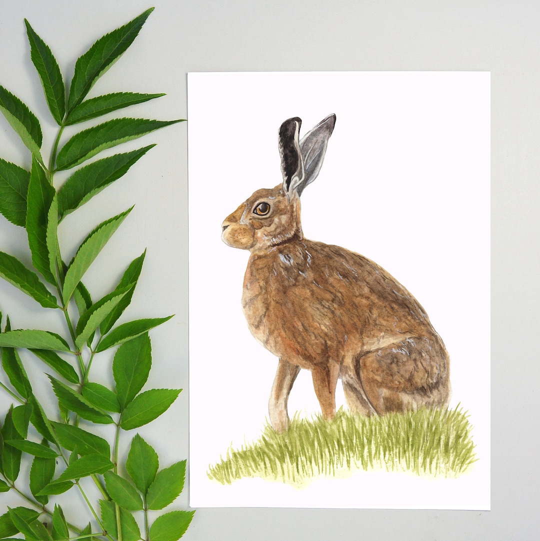 A4 Hare Print Illustration, Wildlife Art, Hare Gifts, Nature, Country ...