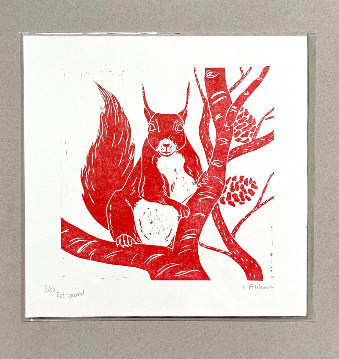 Lino Print Red Squirrel Art Print Handprinted Linocut Wall - Etsy UK