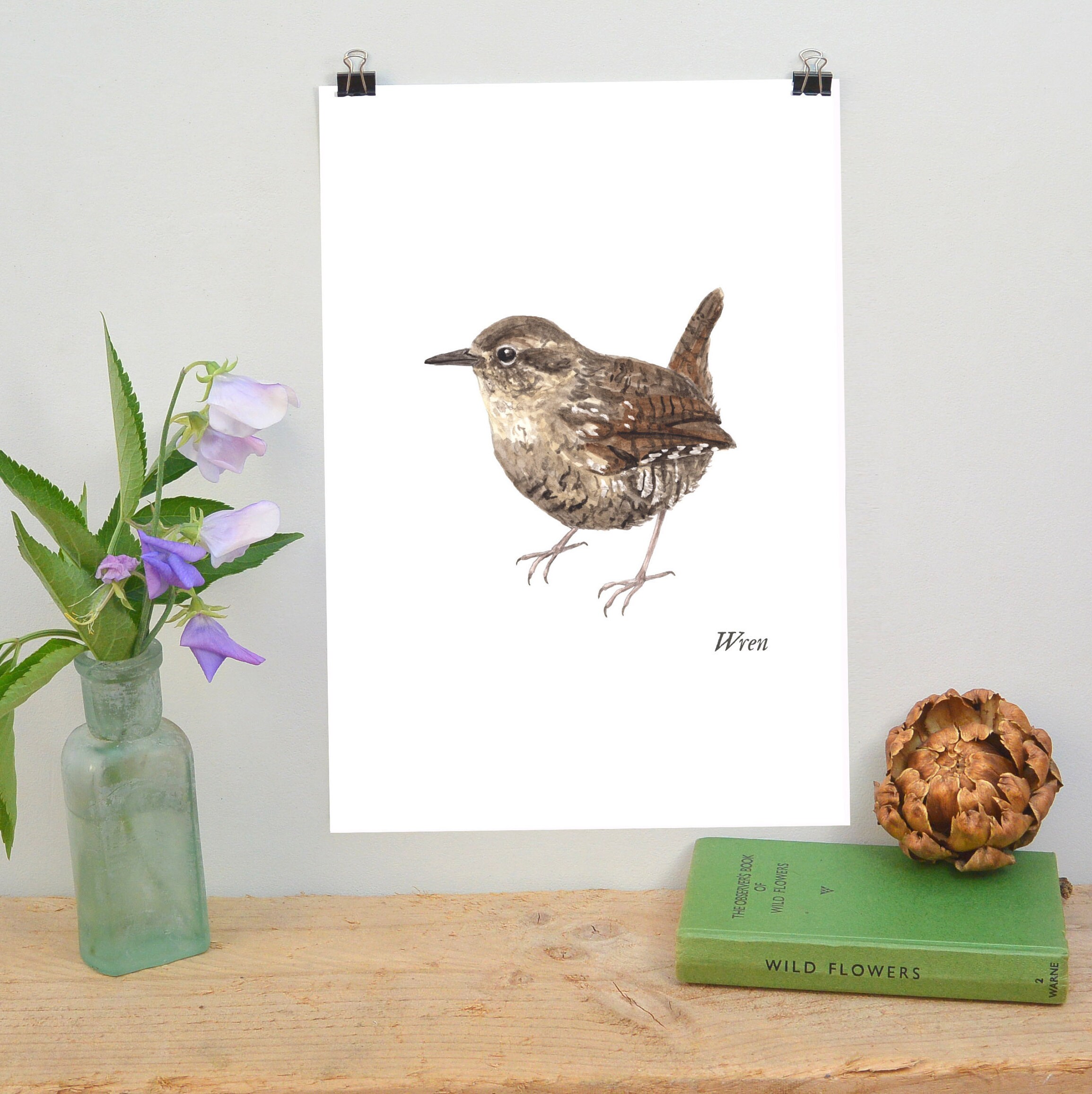 A4 Watercolour Wren Bird Illustration Print, Wildlife Garden Nature ...