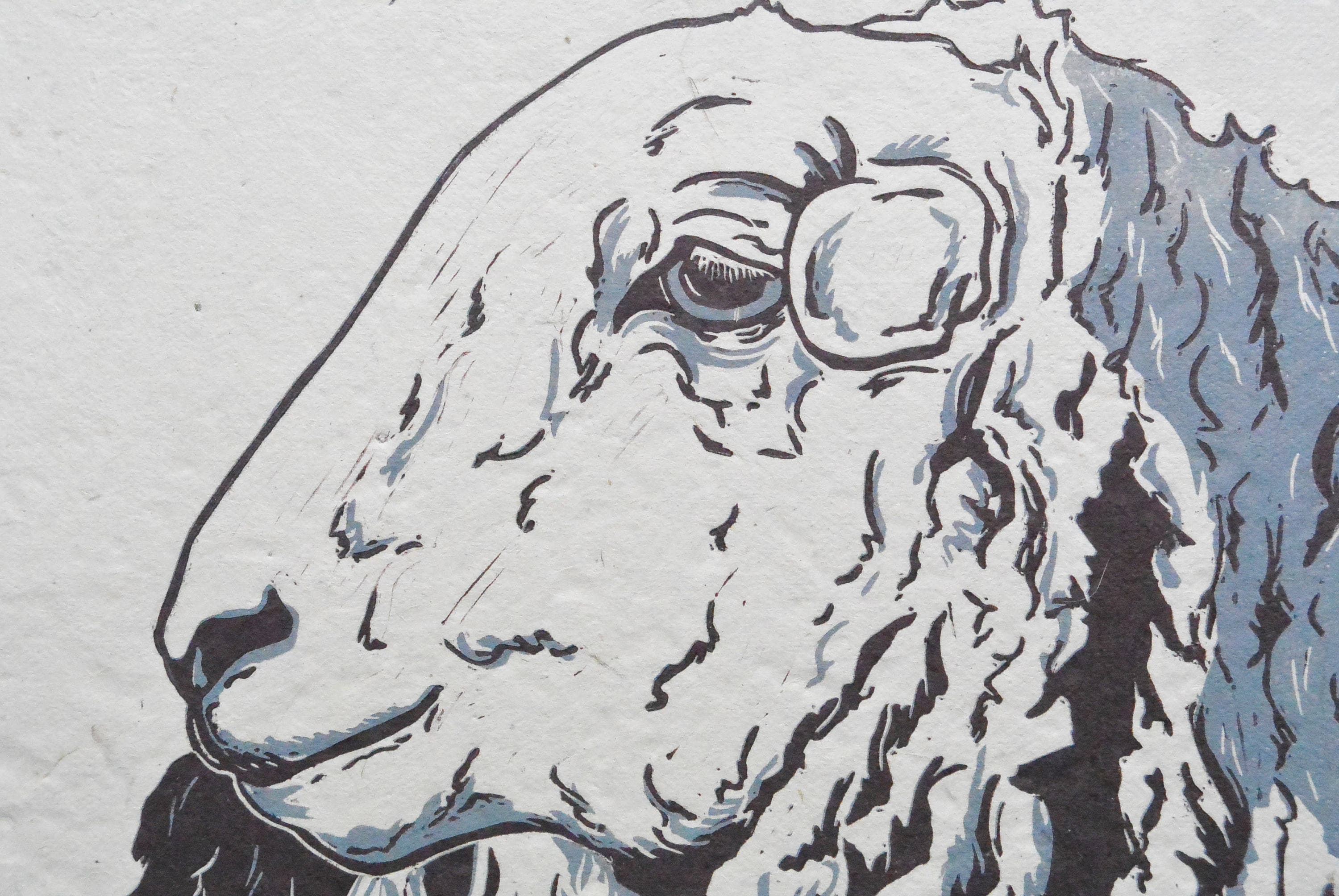 Linocut Sheep Herdwick Lino Animal Illustration Print, A4 Handmade ...