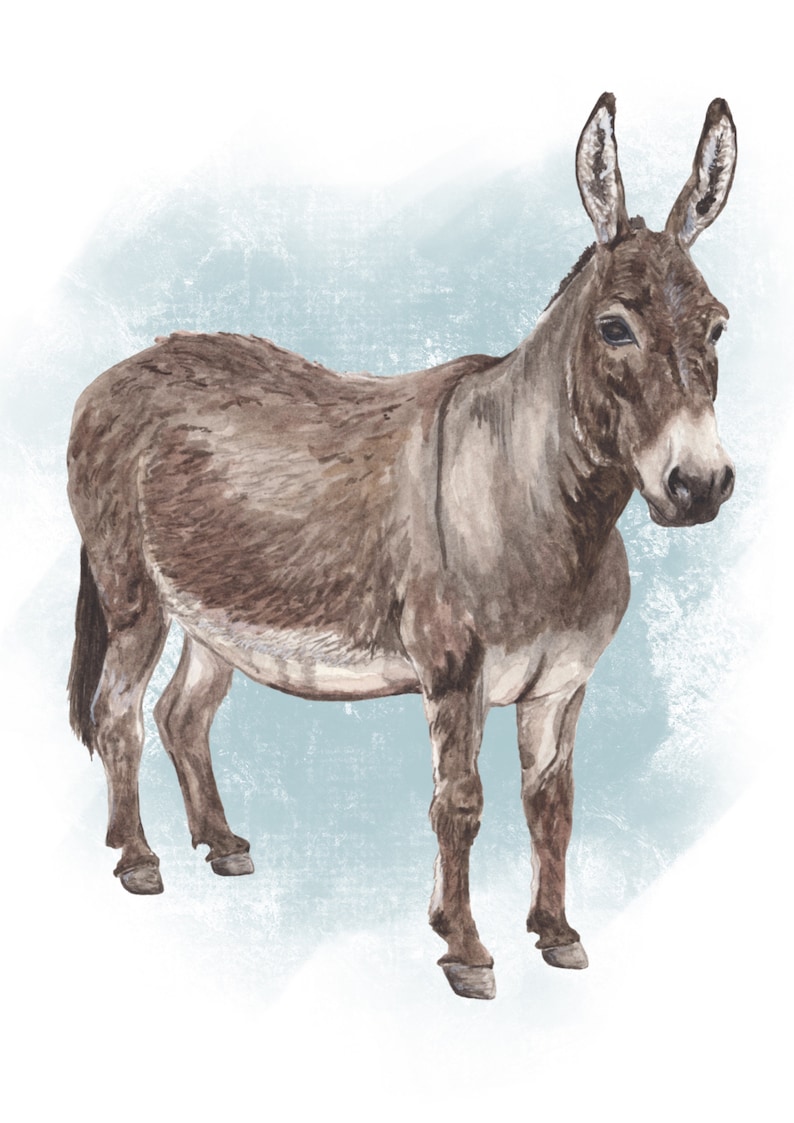 A6 Donkey Greeting Card Blank Cards Animal Watercolour - Etsy