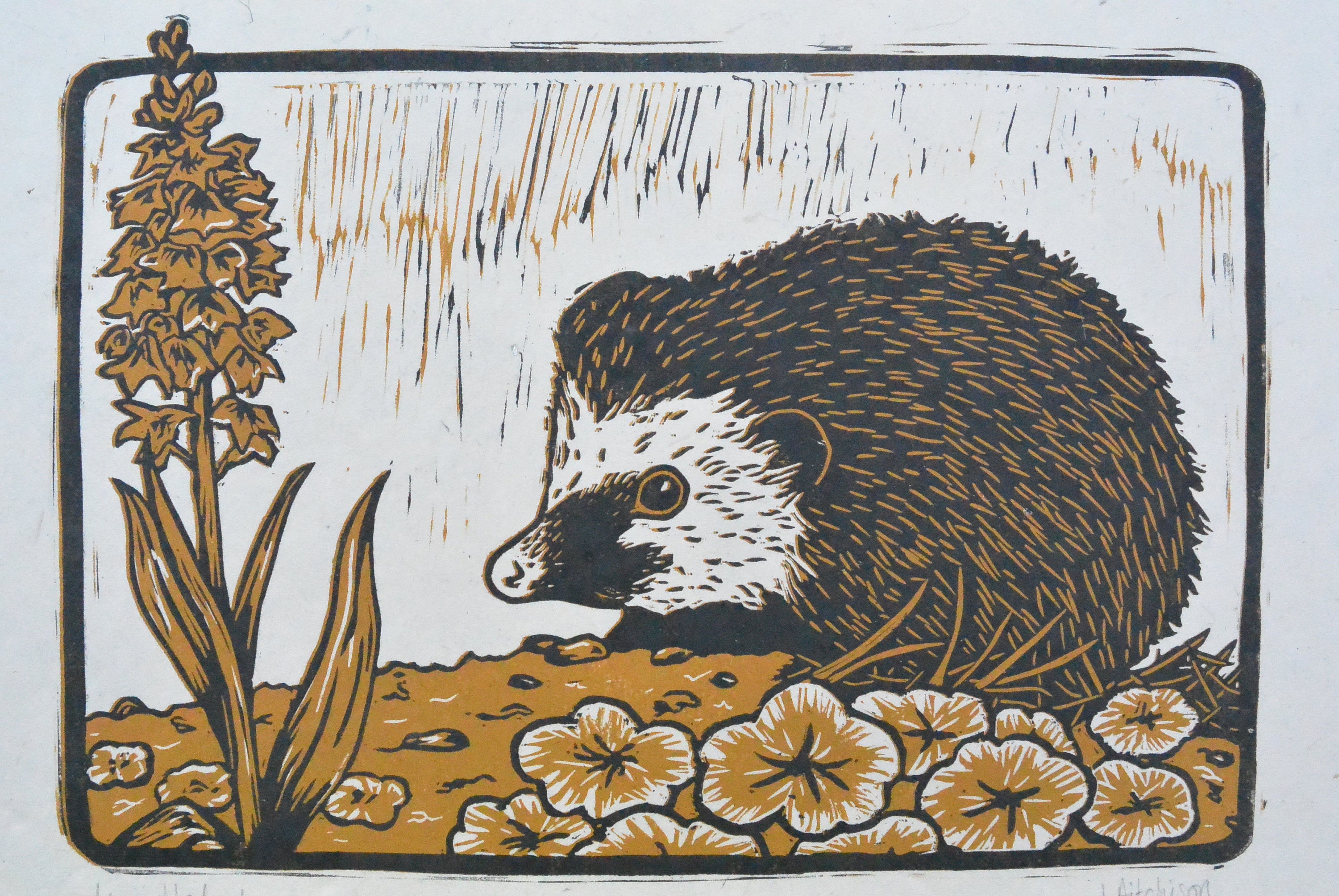 Linocut Hedgehog Print Lino Animal Illustration A4 Handmade - Etsy UK