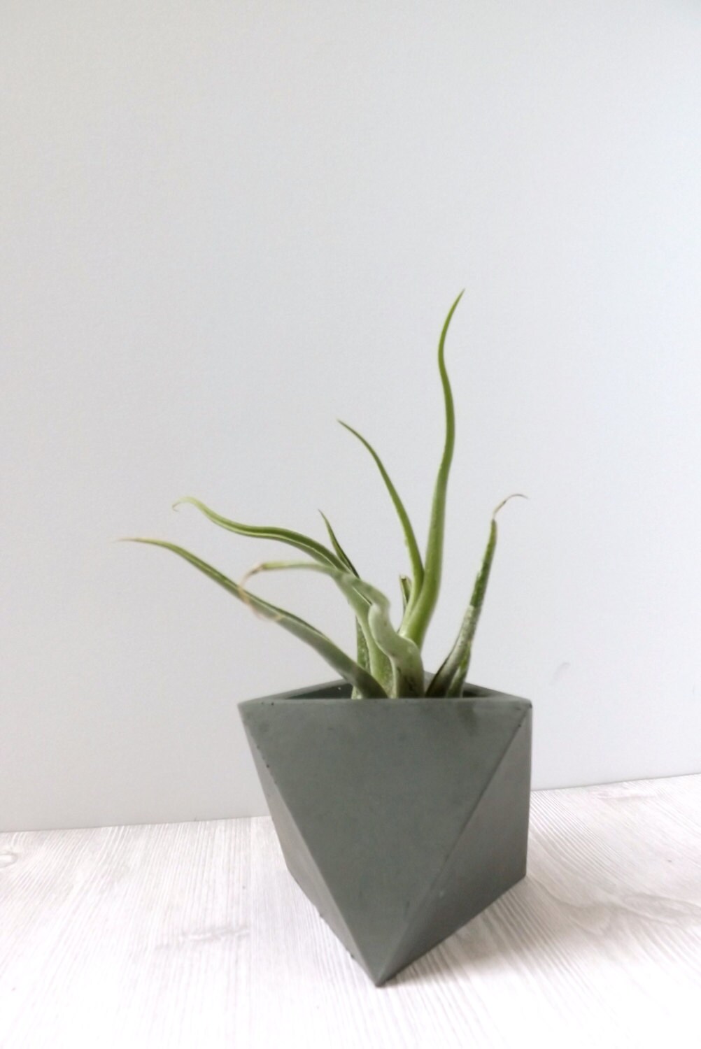 Triangular Geometric Cement Planter // Desk Accessory // | Etsy