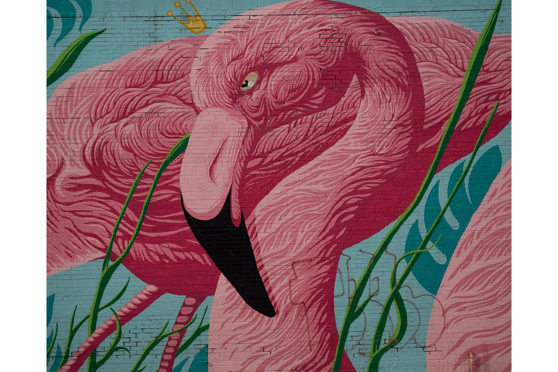 Pink Flamingo Graffiti Framed Photo Wall Art Art - Etsy