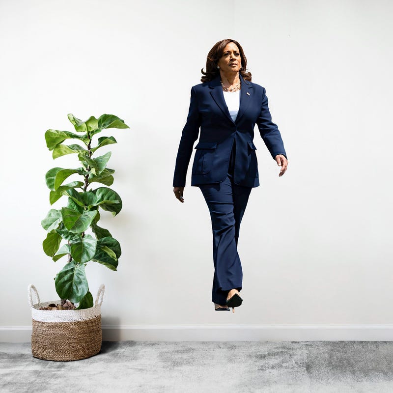 Life Size Kamala Harris Cutout - Etsy