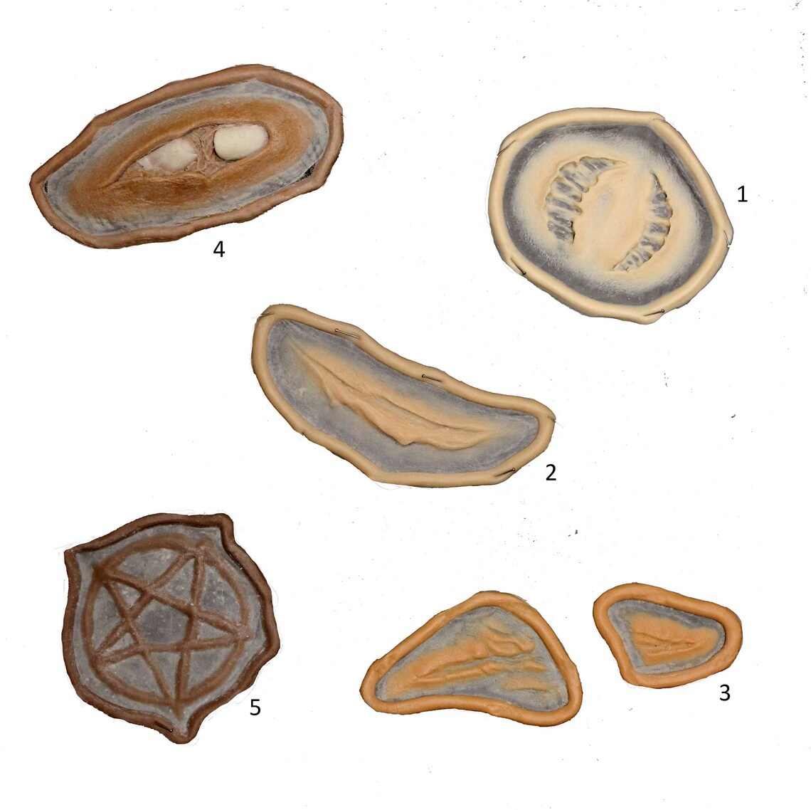 Silicone Prosthetic Werewolf Scratch C1 - Platinum Silicone Gel With ...