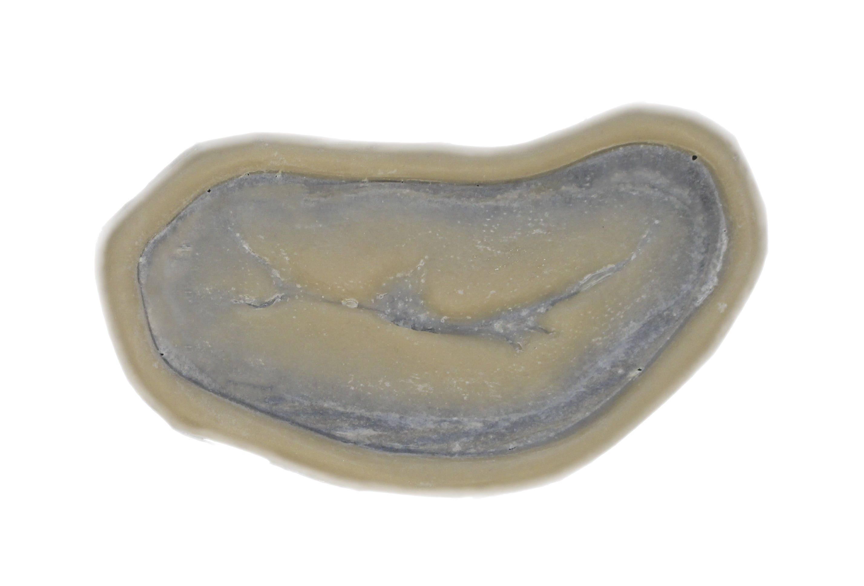 Silicone Prosthetics Cuts C13Z9 Platinum Silicone Gel With Cap Plastic ...