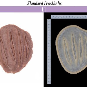 Silicone Prosthetic Werewolf Scratch C1 - Platinum Silicone Gel With ...