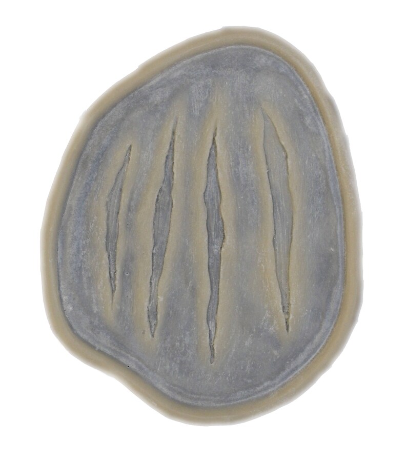 Silicone Prosthetic Werewolf Scratch C1 - Platinum Silicone Gel With ...