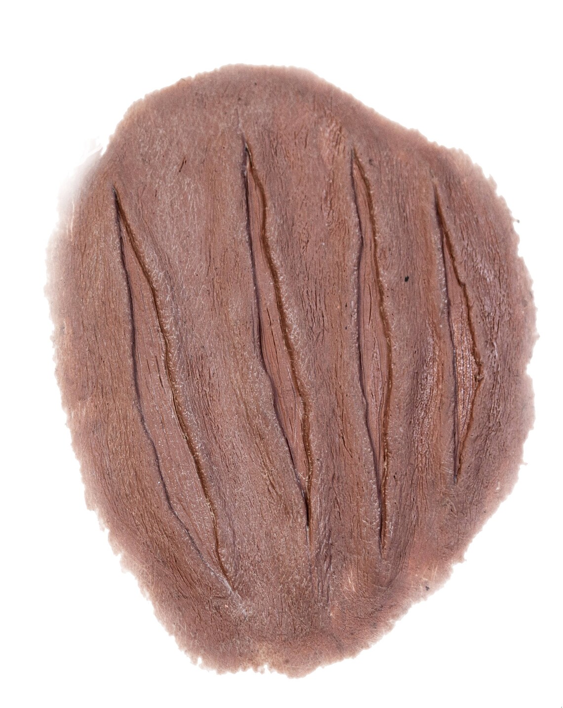 Silicone prosthetic Werewolf scratch C1 Platinum silicone | Etsy