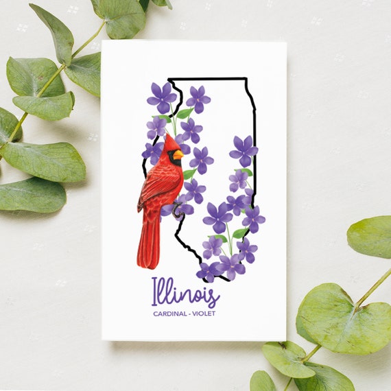 Digital Download Illinois State Bird and Flower Postcard | Etsy