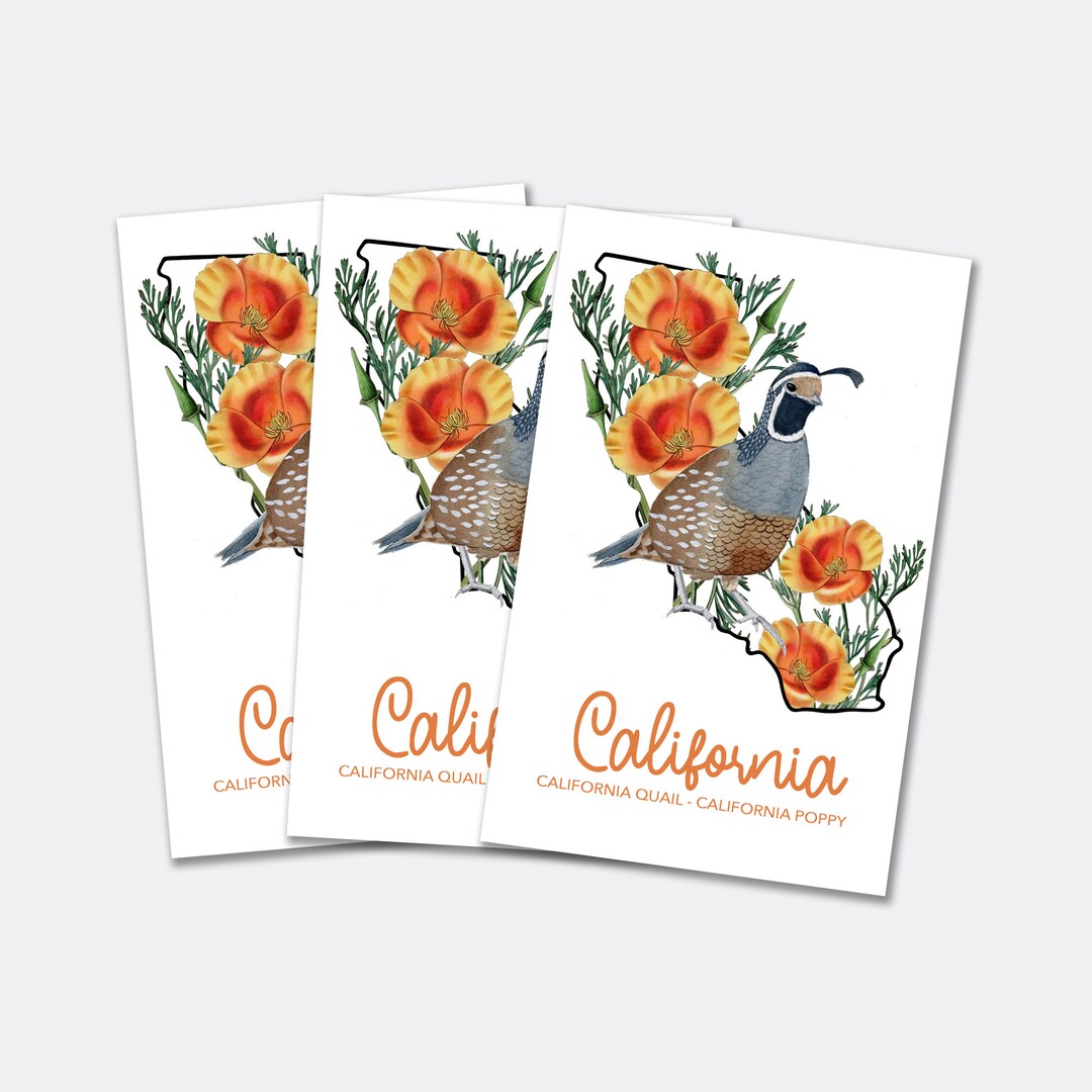 Digital Download California State Bird and Flower Postcard - Etsy