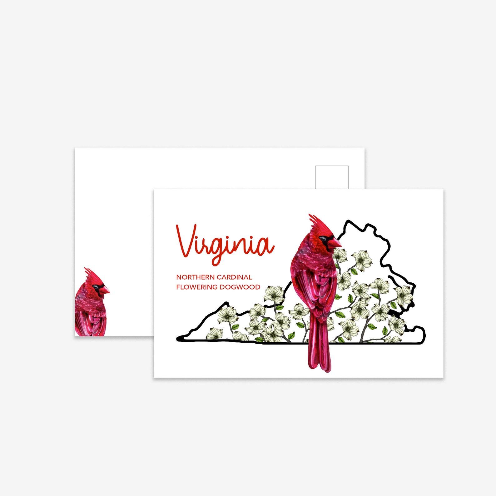 Digital Download Virginia State Bird and Flower Postcard | Etsy