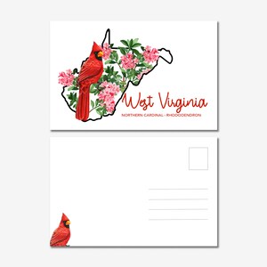 Digital West Virginia Postcards State Bird and Flower Postcard - Etsy