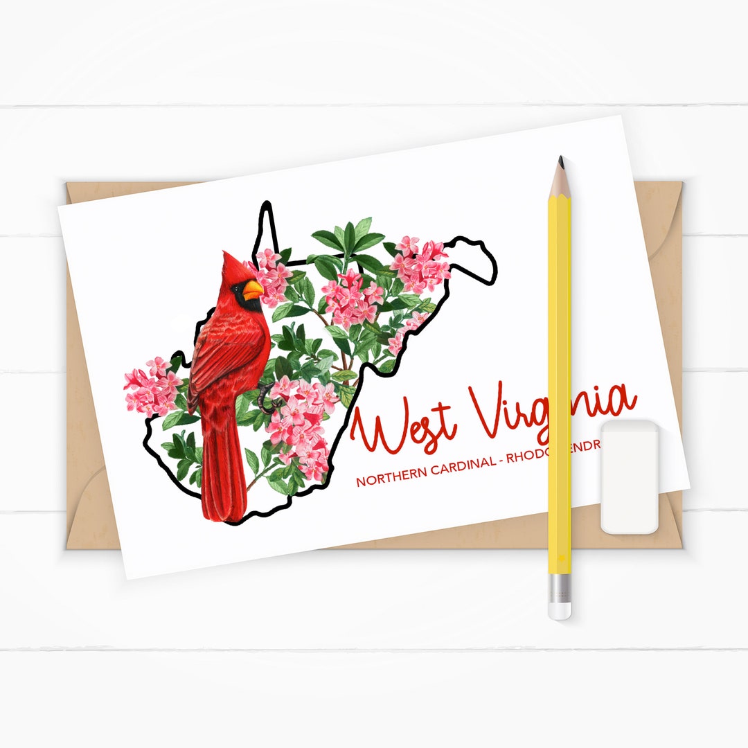Digital West Virginia Postcards State Bird and Flower Postcard - Etsy