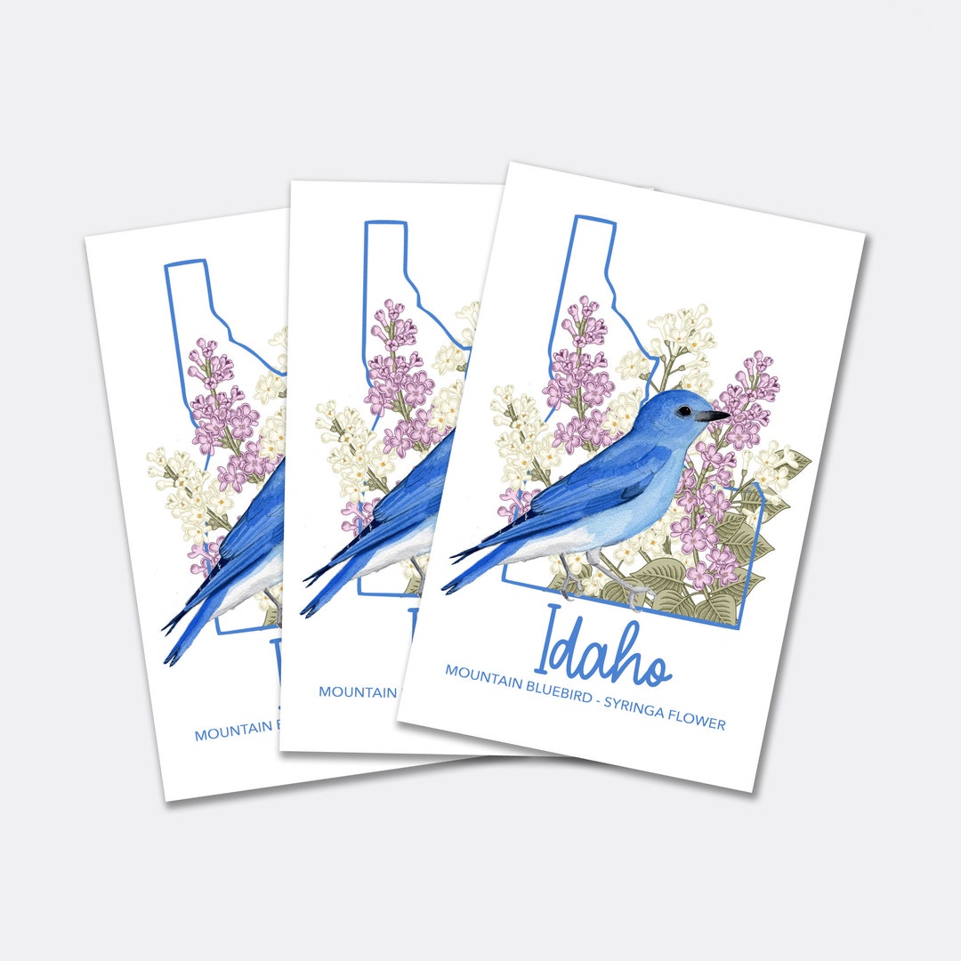 Digital Download Idaho State Bird and Flower Postcard - Etsy