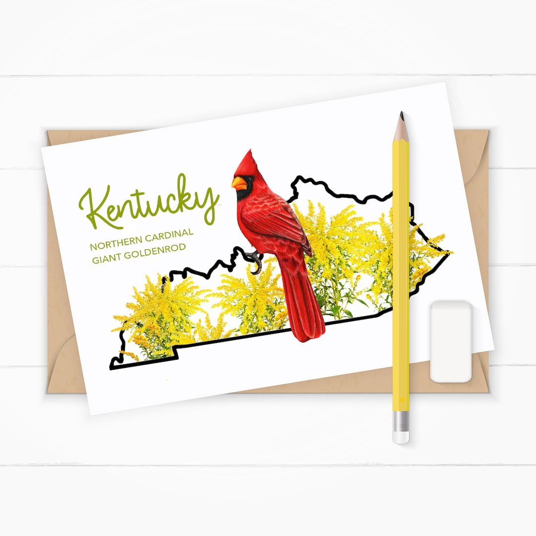 Digital Kentucky Postcards State Bird and Flower Postcard - Etsy