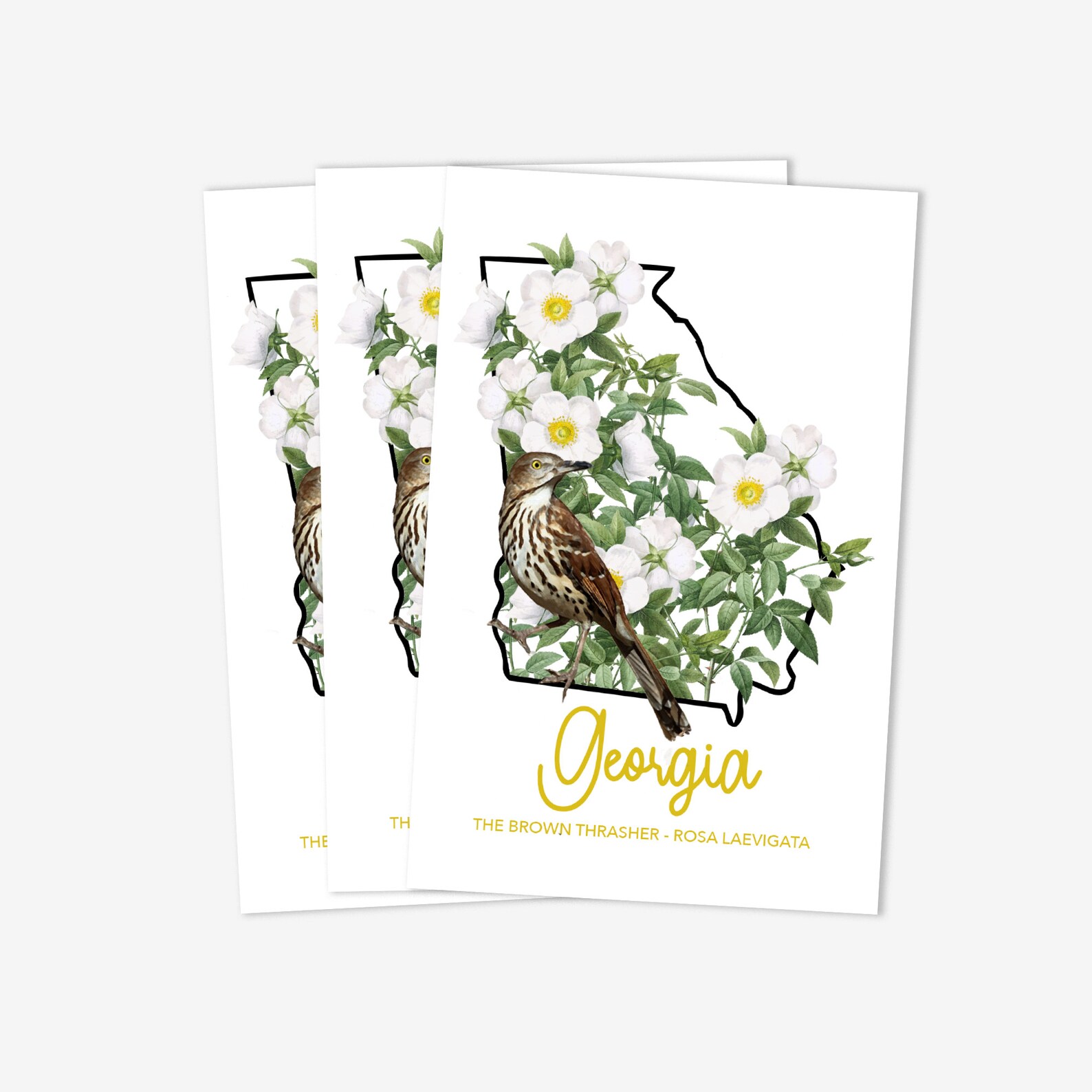 Digital Download Georgia State Bird and Flower Postcard - Etsy