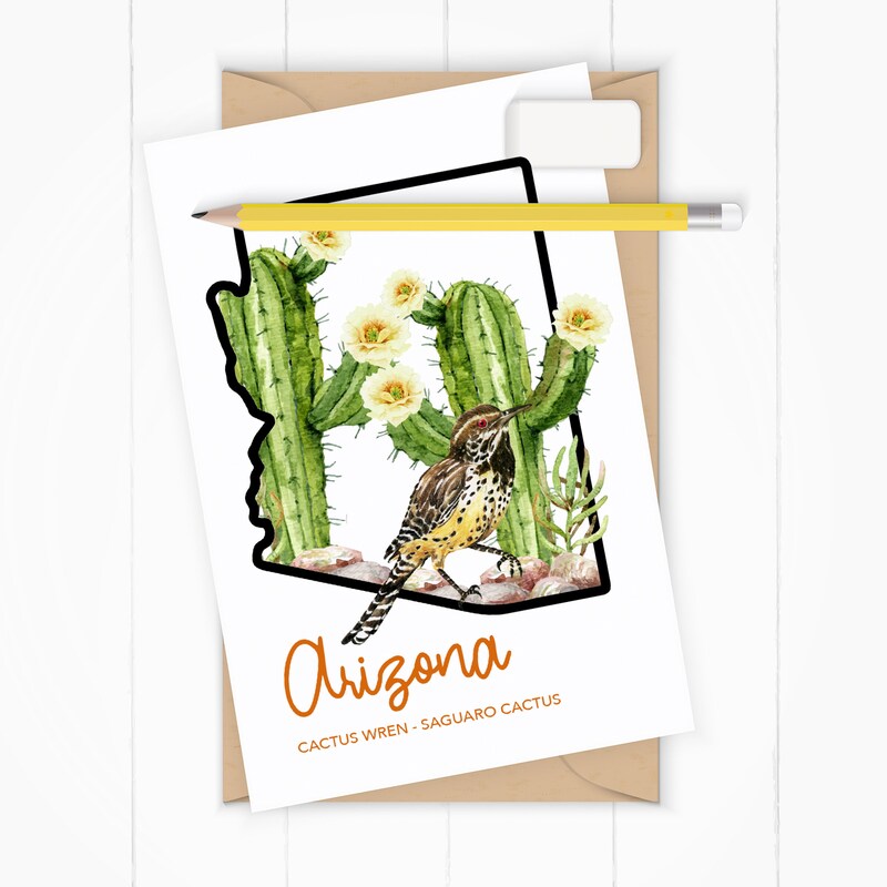 Bird Postcards - Etsy