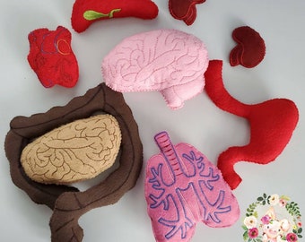 Human Body Felt - Etsy