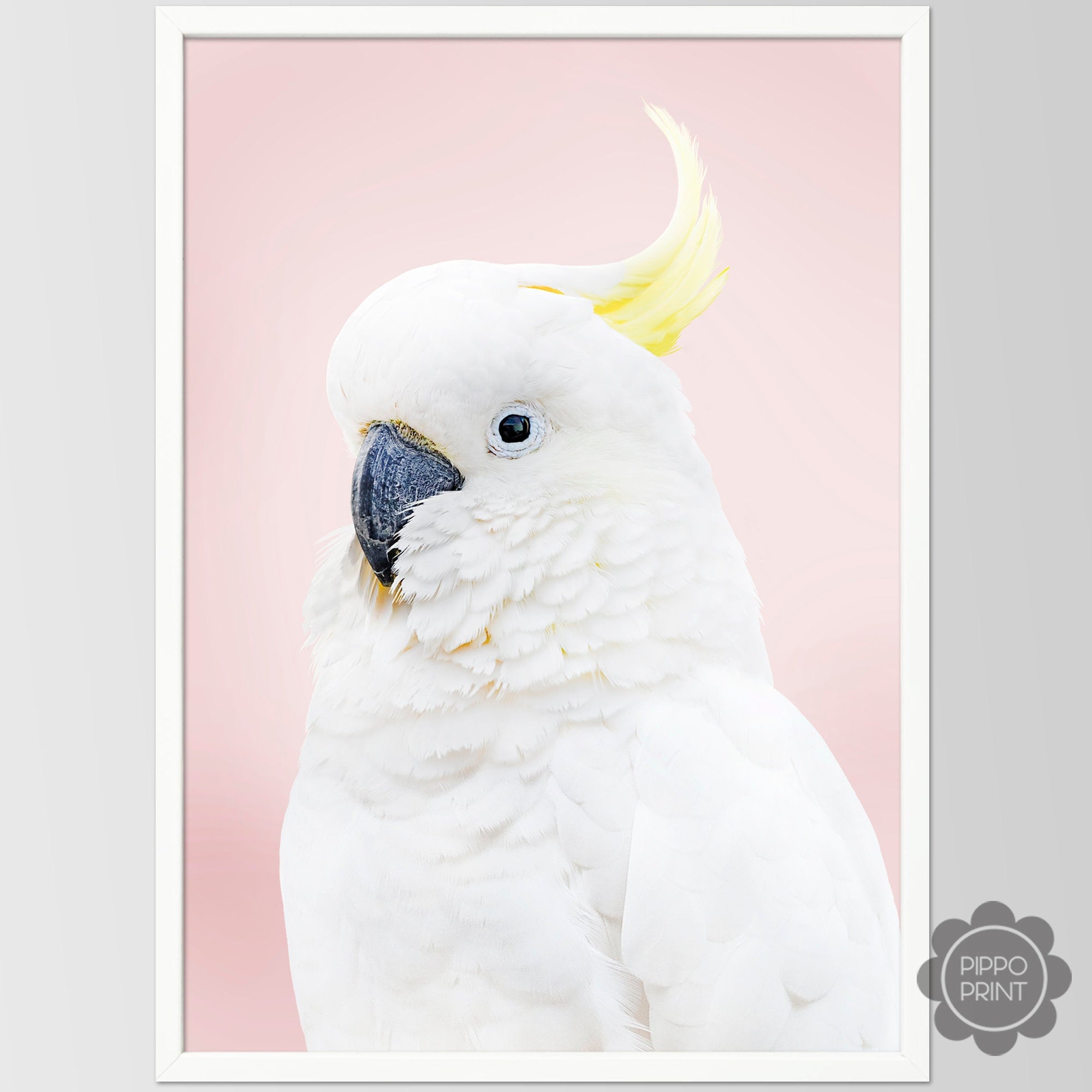 White Cockatoo Art Print, Australian Bird Print, Bird Print, Cockatoo ...