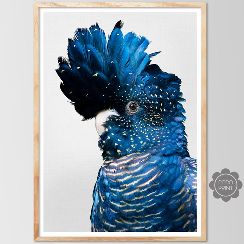 Black Cockatoo Art Australian Bird Print Bird Print Cockatoo Wall