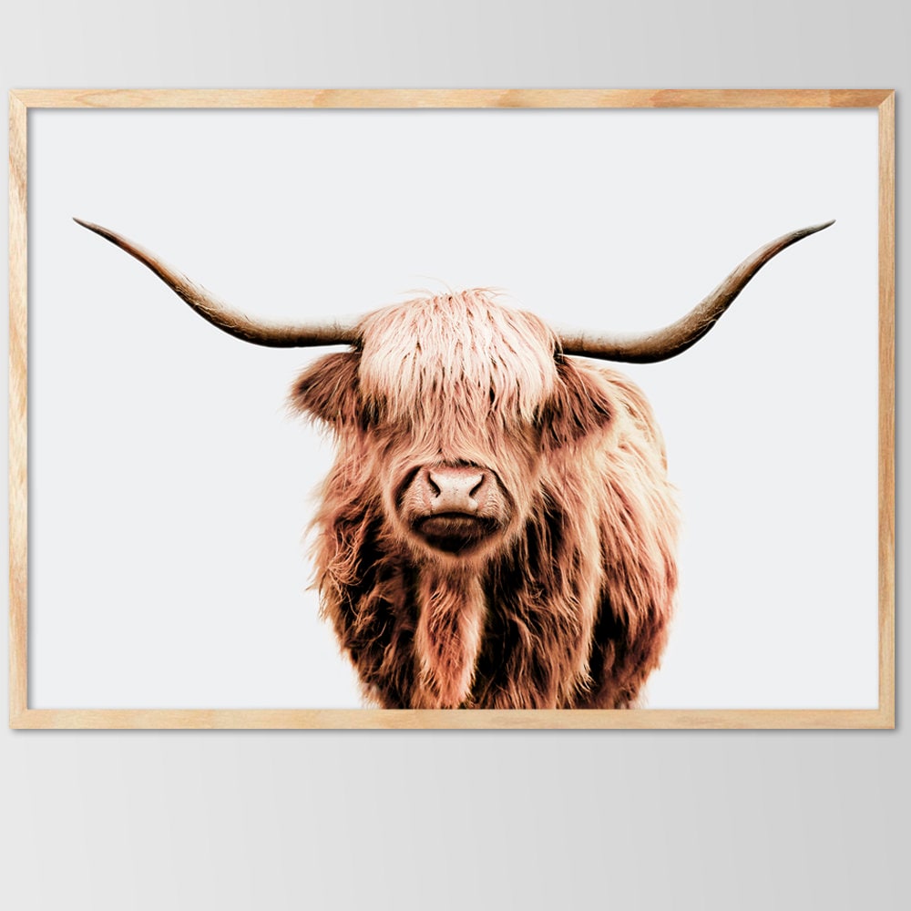 Highland Cow Print, Cow Print, Farmhouse Decor, Rustic Decor, Animal ...