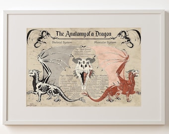 Anatomy Of A Dragon ArtStation Anatomy Of A Dragon