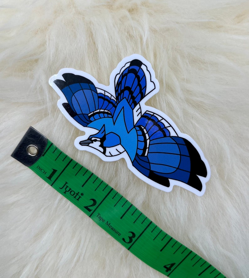 Blue Jay Vinyl Sticker Stellar's Jay Vinyl Sticker - Etsy