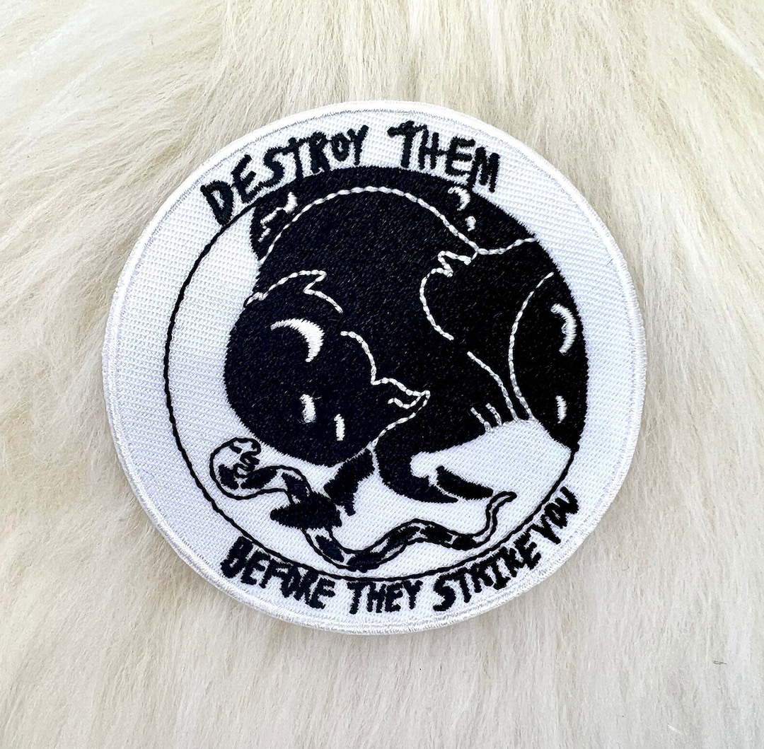 Political Art Patch: Embroidered Iron-on, Roaminbisonworkshop (3x3 ...