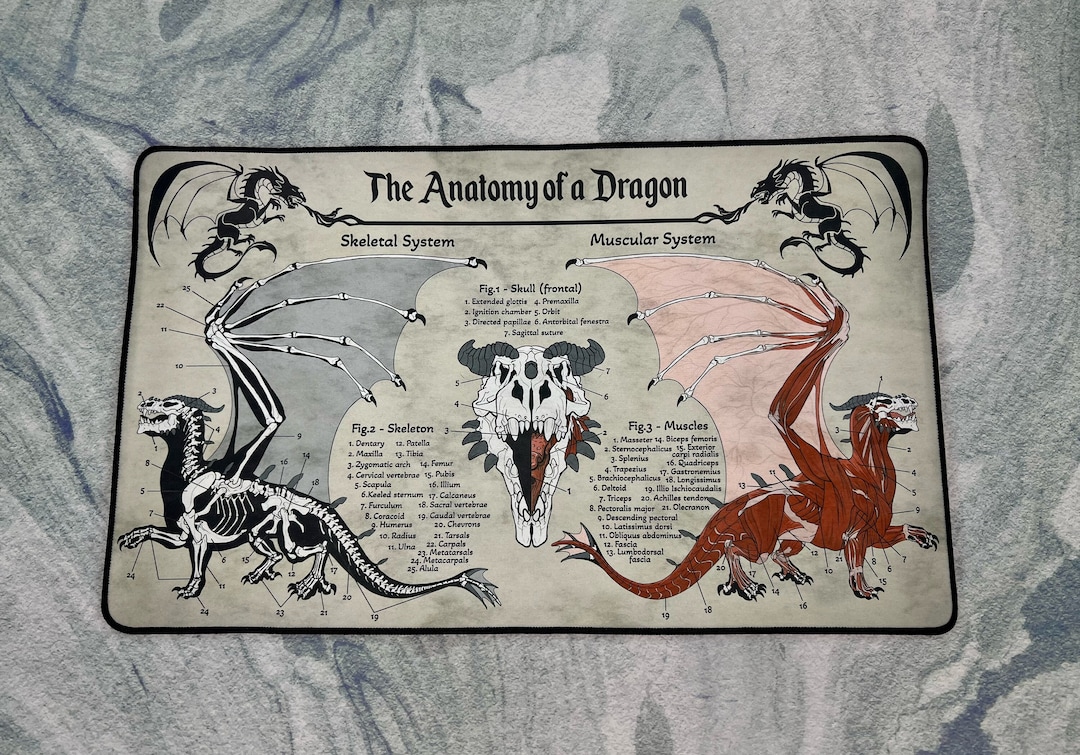 Dragon Playmat | TTRPG Tabletop Mat | Anatomy of a Dragon | FREE ...