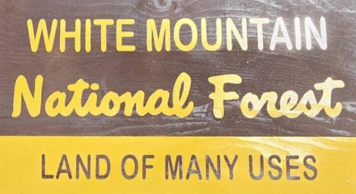 10" Hand Painted White Mountain National Forest Sign | New Hampshire ...