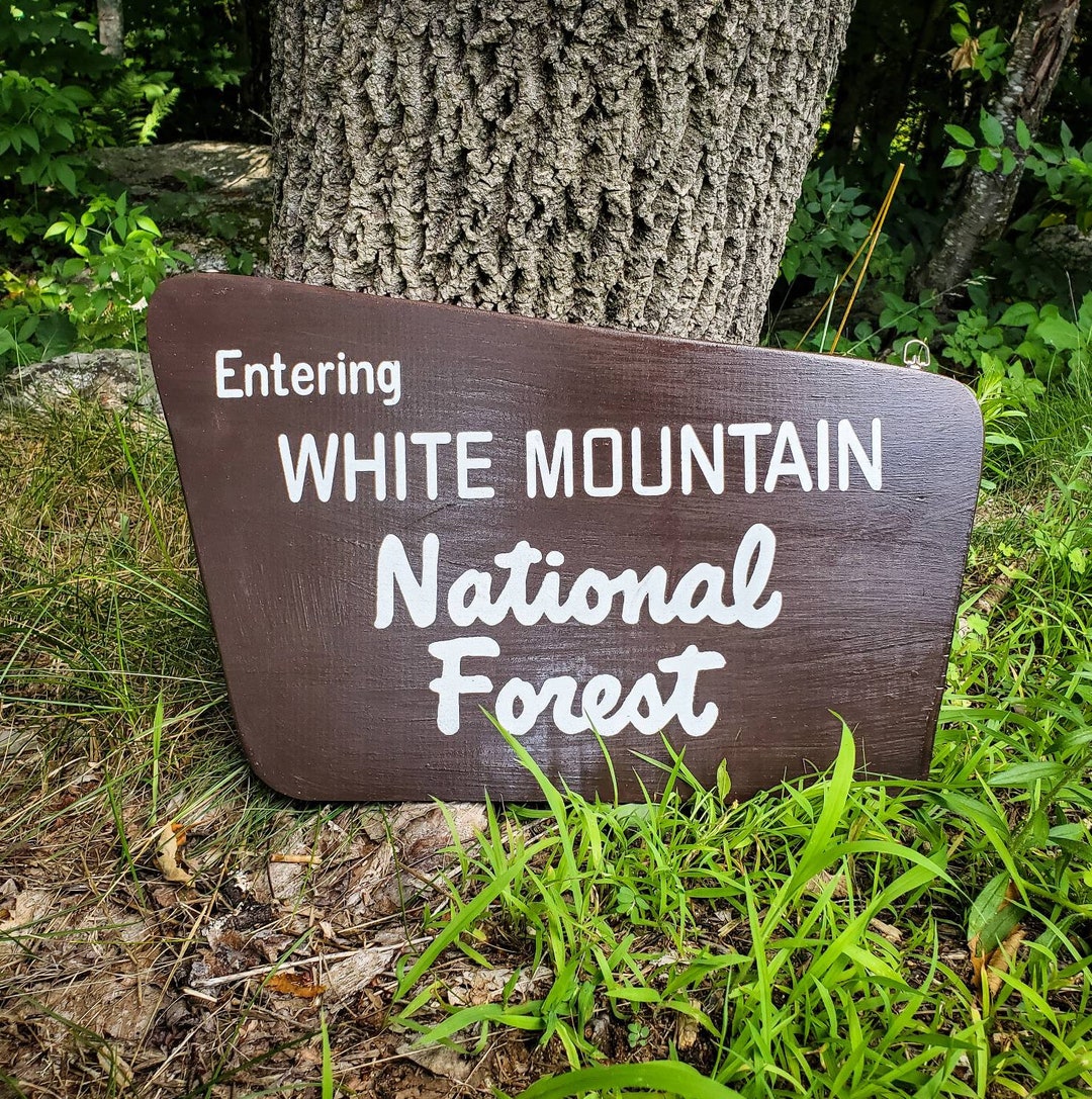 Multiple Sizes Replica White Mountain National Forest Sign, New ...